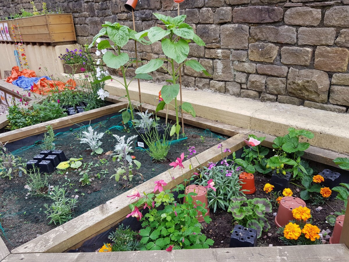 early years outdoor classroom garden - Gisburn Road Barnoldswick ...